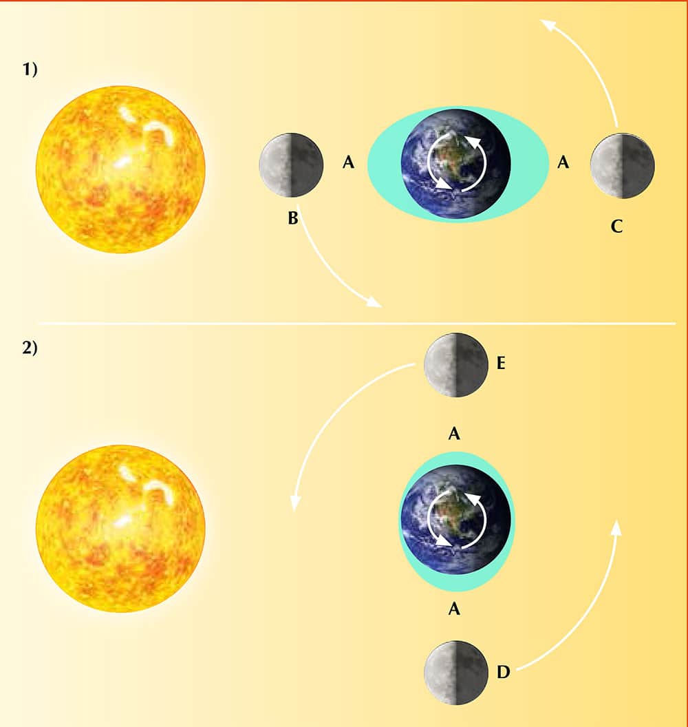 Perchè la Luna è così importante?