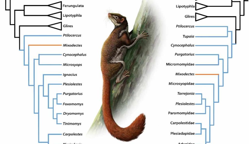 Home | Science | CUENEWS