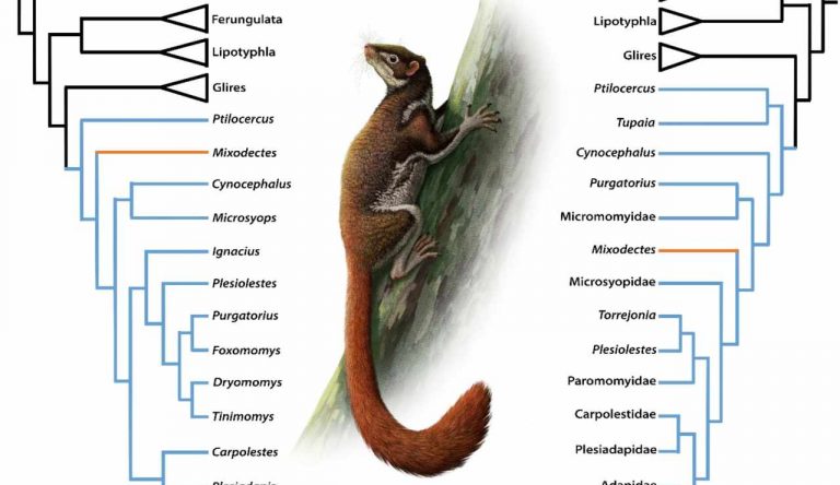 Home | Science | CUENEWS